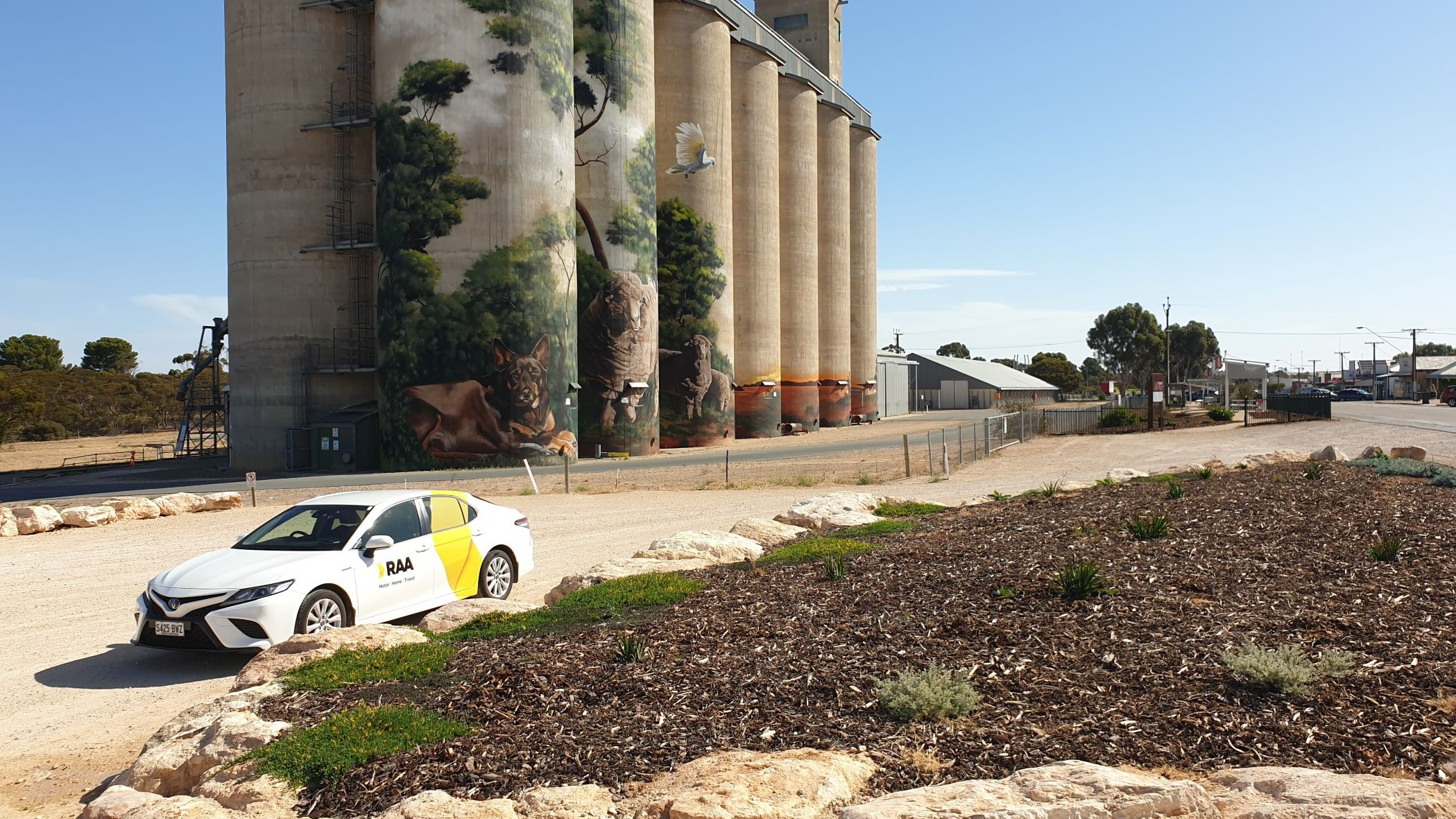 RAA shines spotlight on Murraylands - RAA Daily RAA shines spotlight on Murraylands - RAA Daily