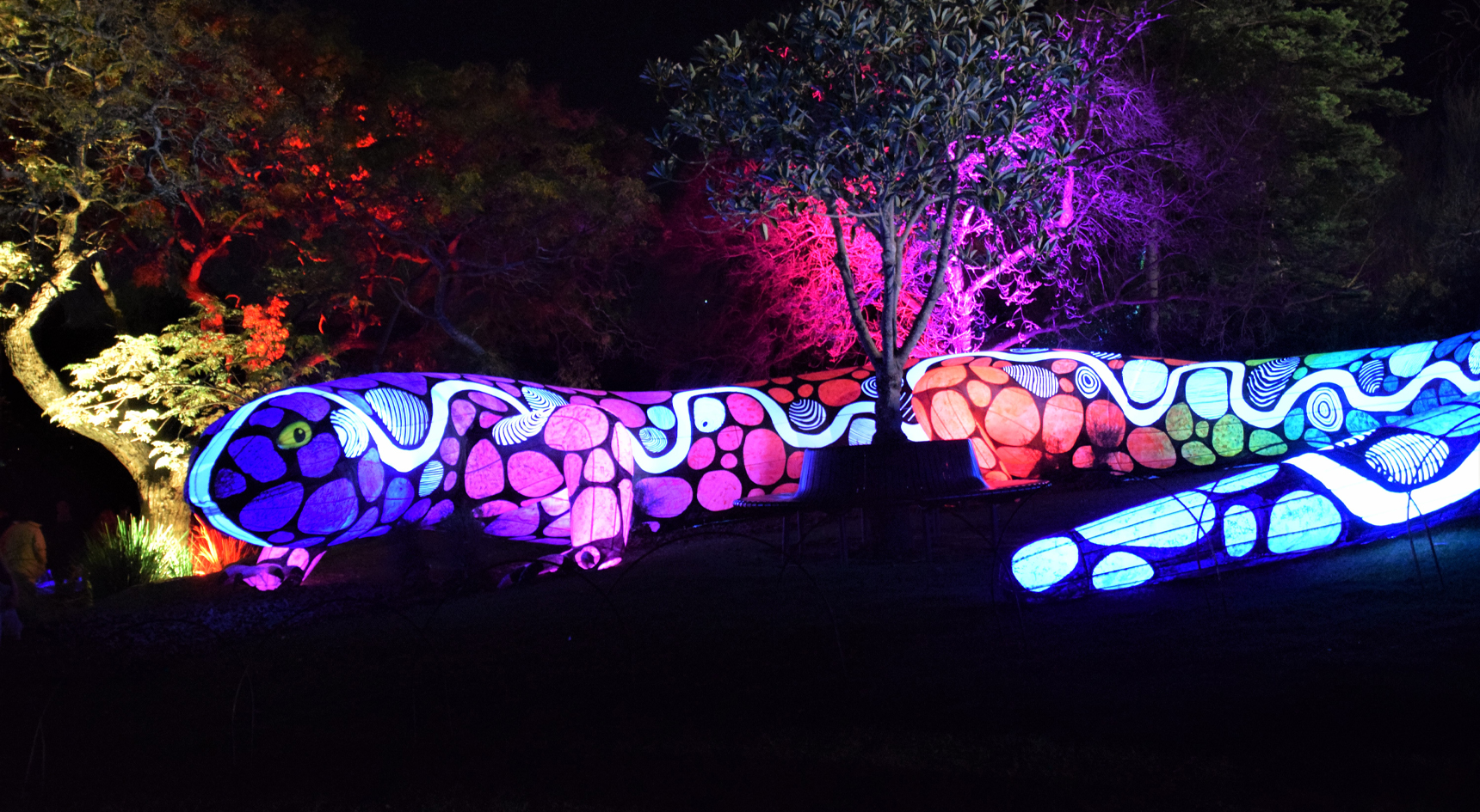 More than a million through the gates at Illuminate Adelaide - RAA Daily