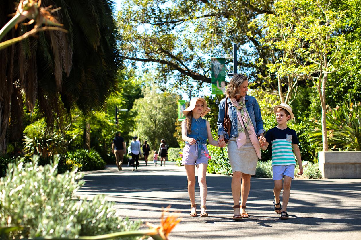 RAA members saving more than ever - RAA Daily