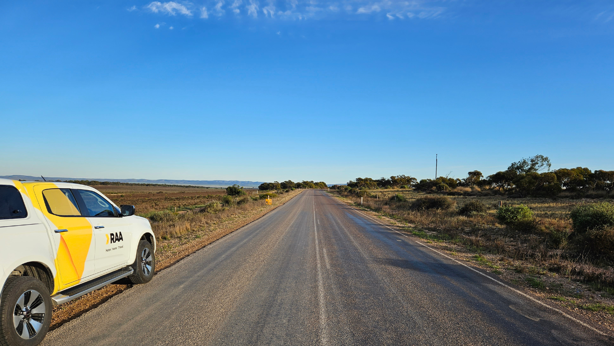 RAA survey reveals community concern over condition of Eyre Peninsula ...