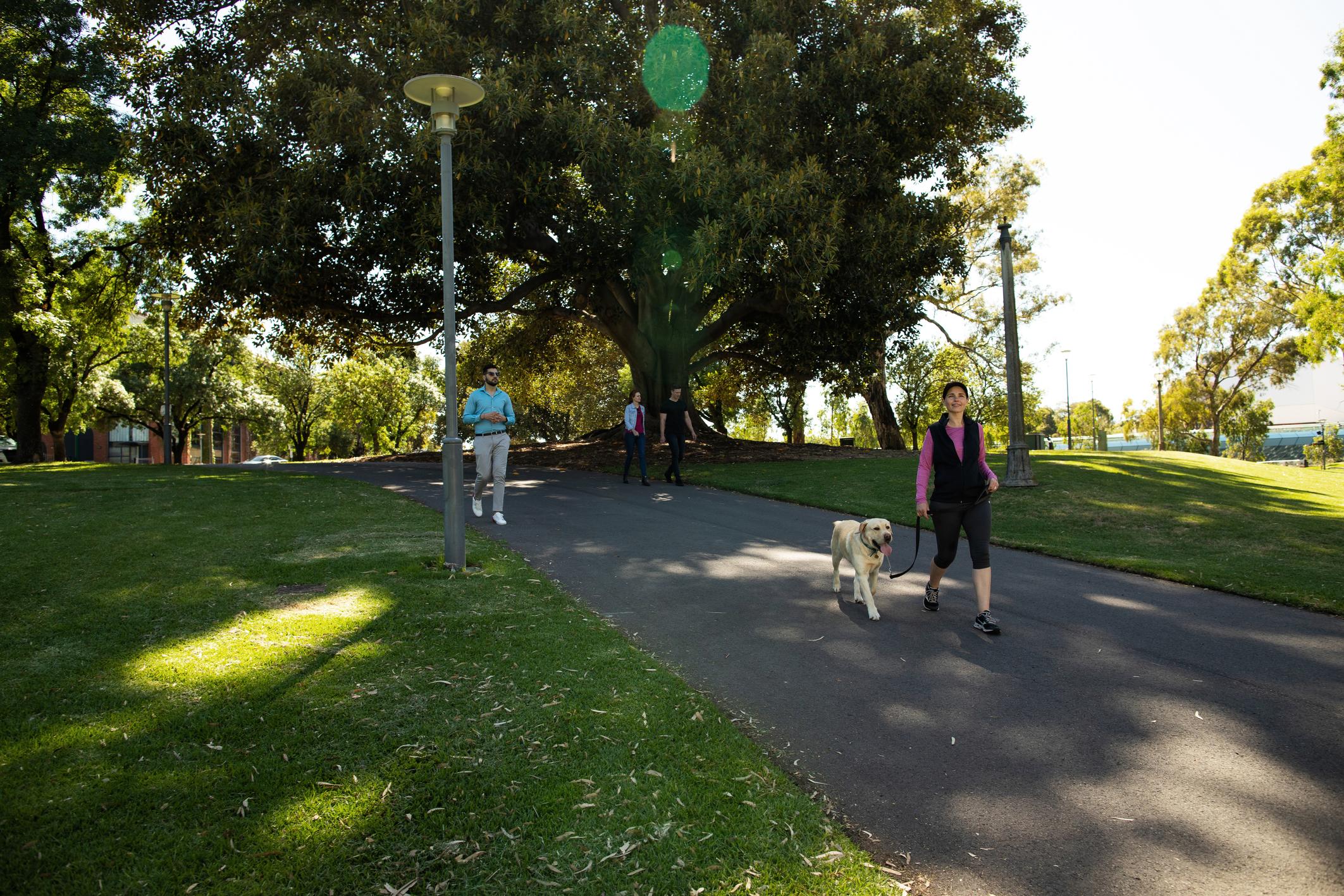 RAA and Walking SA launch first ever ‘Risky Walks’ survey to uncover ...