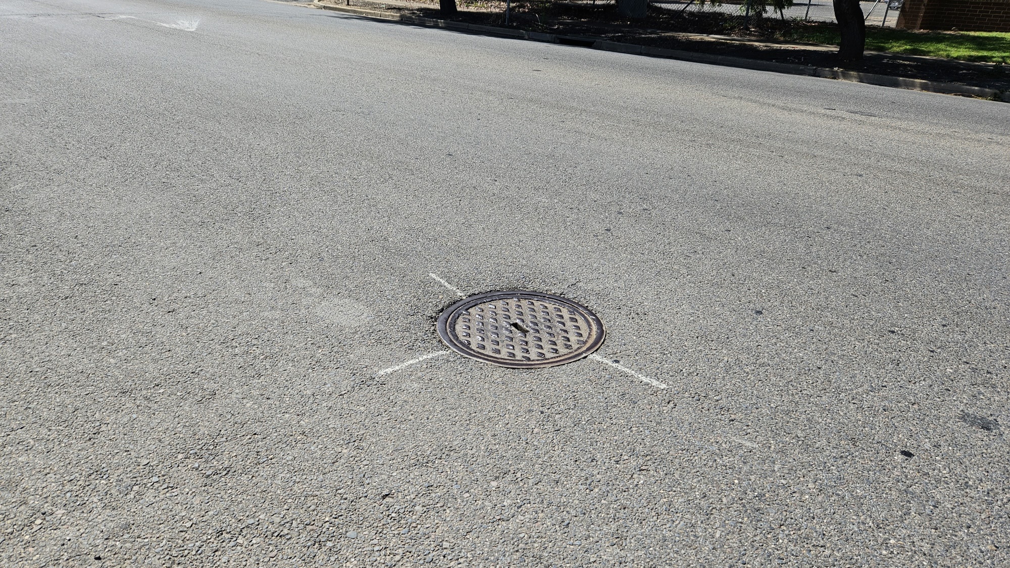 RAA helping to address big bug bear for SA drivers - RAA Daily