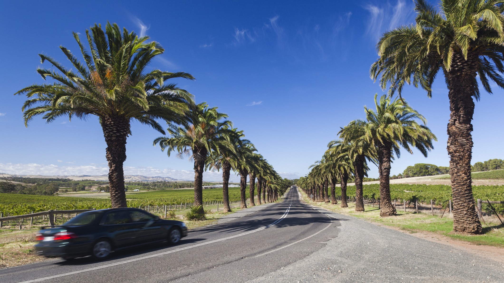 Let’s stay fatality free – and sober – on SA roads this long weekend ...