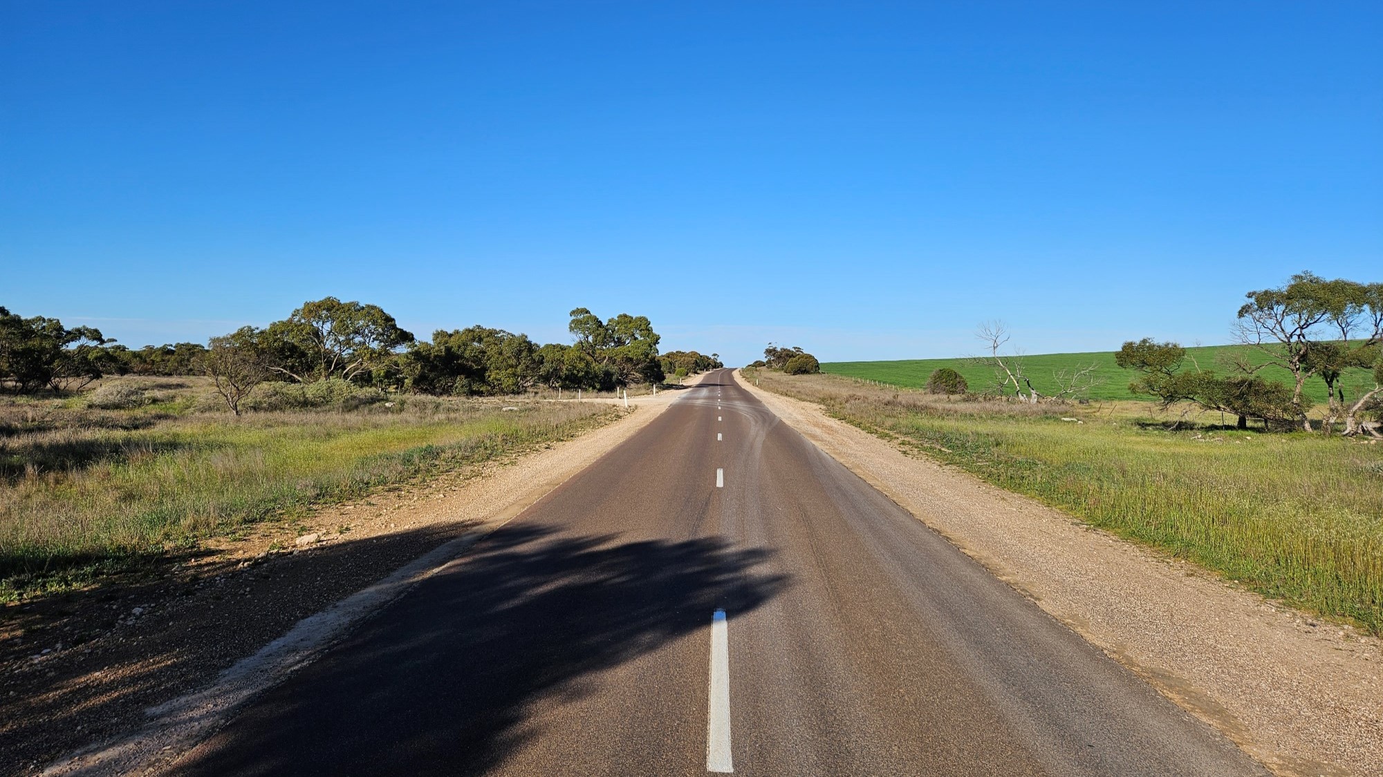 RAA calls for review of Eyre Peninsula road network - RAA Daily